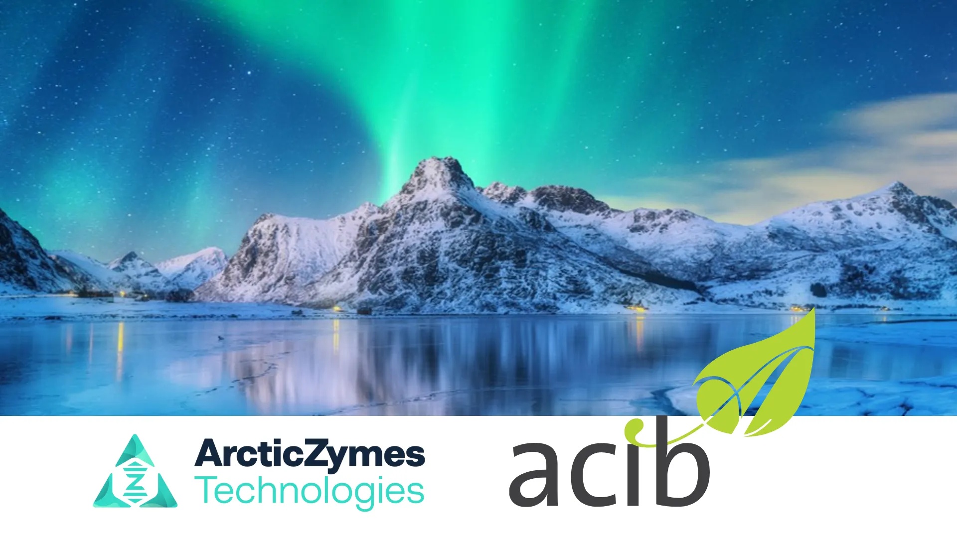 Research Paper About Novel RNA Restriction Enzyme Published in Journal: Nucleic Acids Research ...